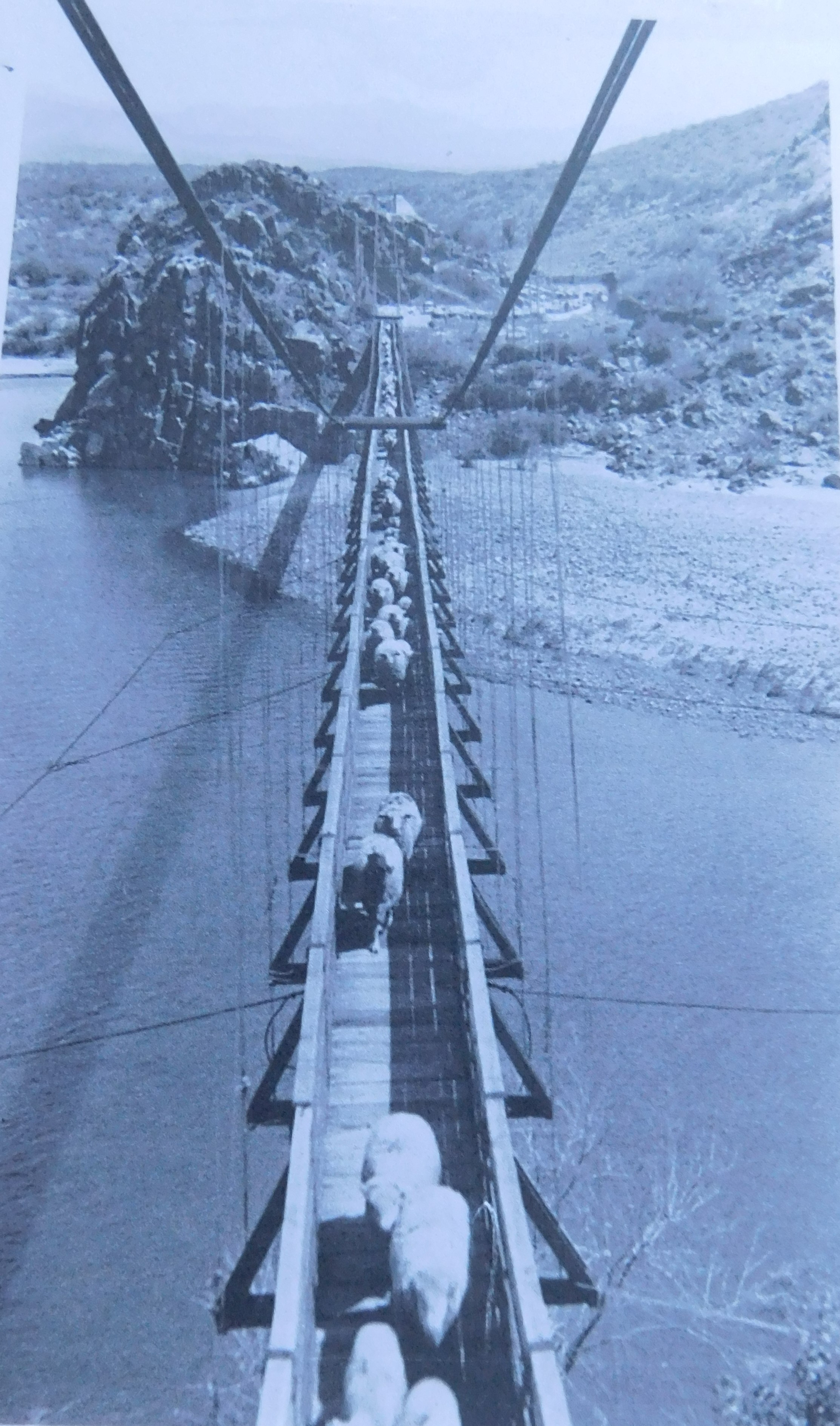 Verde River Sheep Bridge – ArizonaSheepHistory.wordpress.com