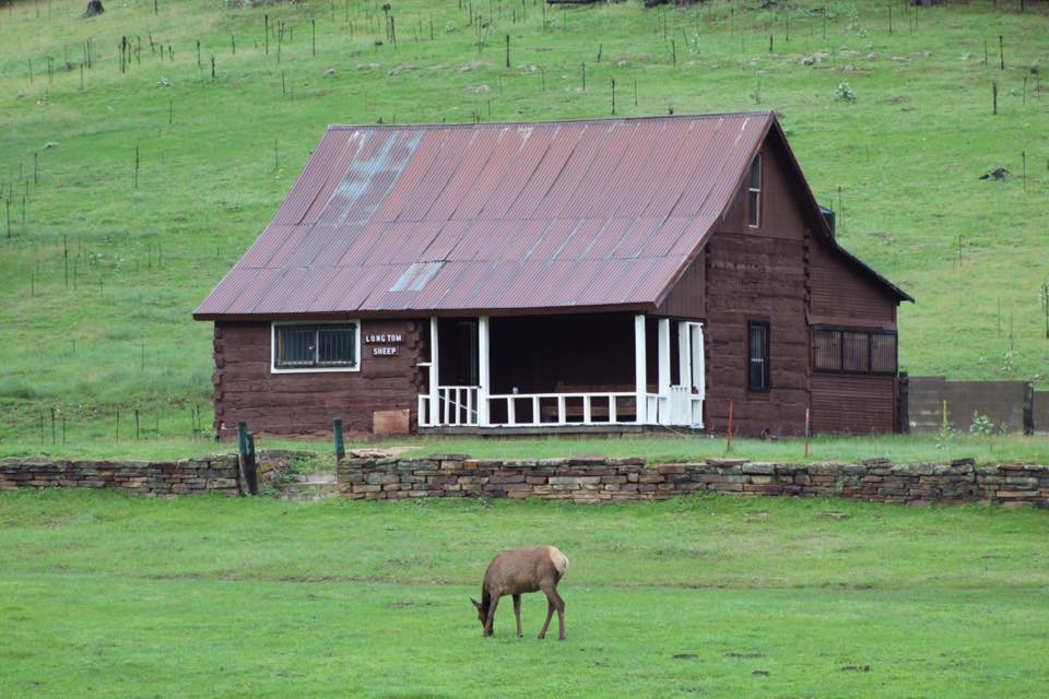 George Wilbur’s Ranch – ArizonaSheepHistory.wordpress.com