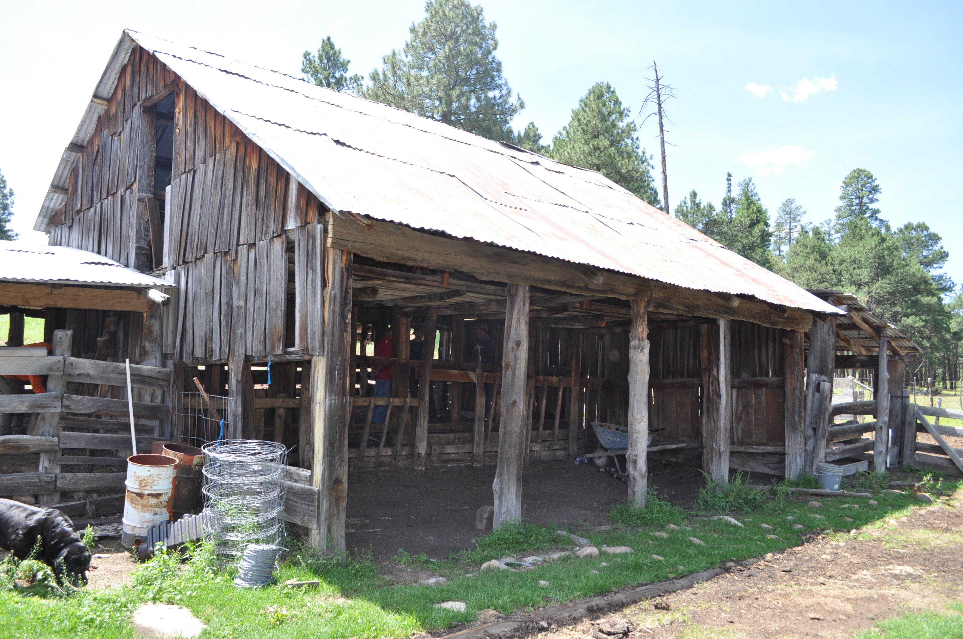 A beautiful day for a trip to a old sheep ranch – ArizonaSheepHistory ...