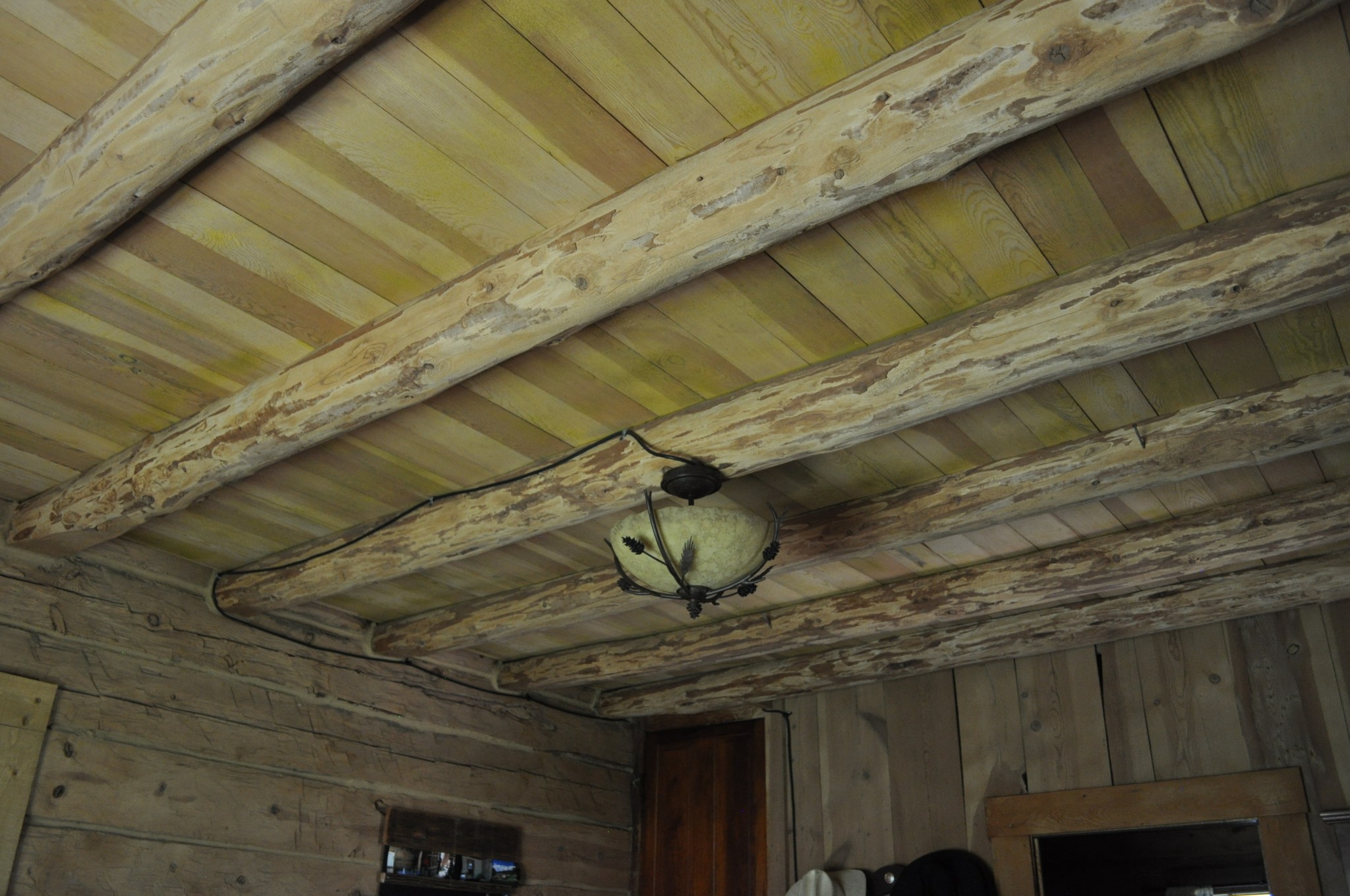 A beautiful day for a trip to a old sheep ranch – ArizonaSheepHistory ...